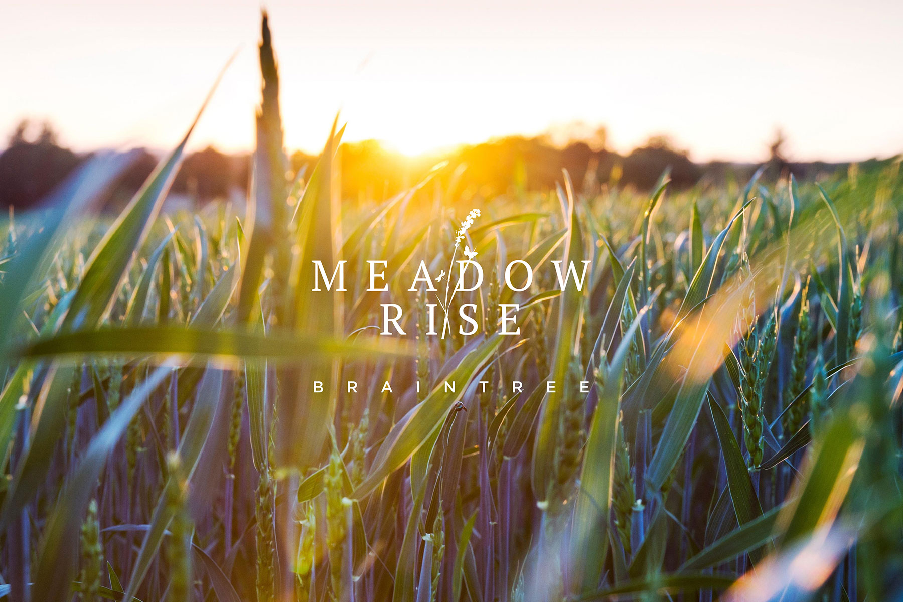 Laban Brown | Countryside Properties